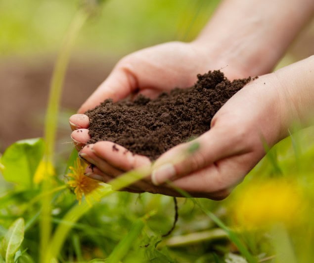 Back conservation in the Farm Bill - ACC Action